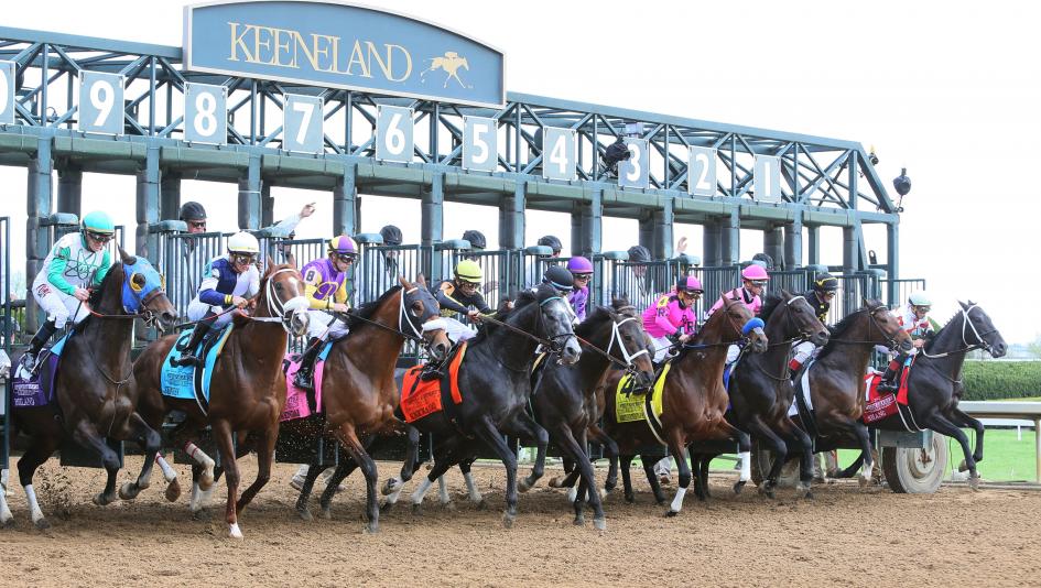 Road to the Kentucky Derby 2022: Lexington Stakes – The Emerald Press